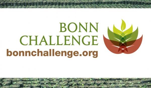 Se llevó a cabo en Guatemala la Bonn Challenge Latinoamérica para la ...