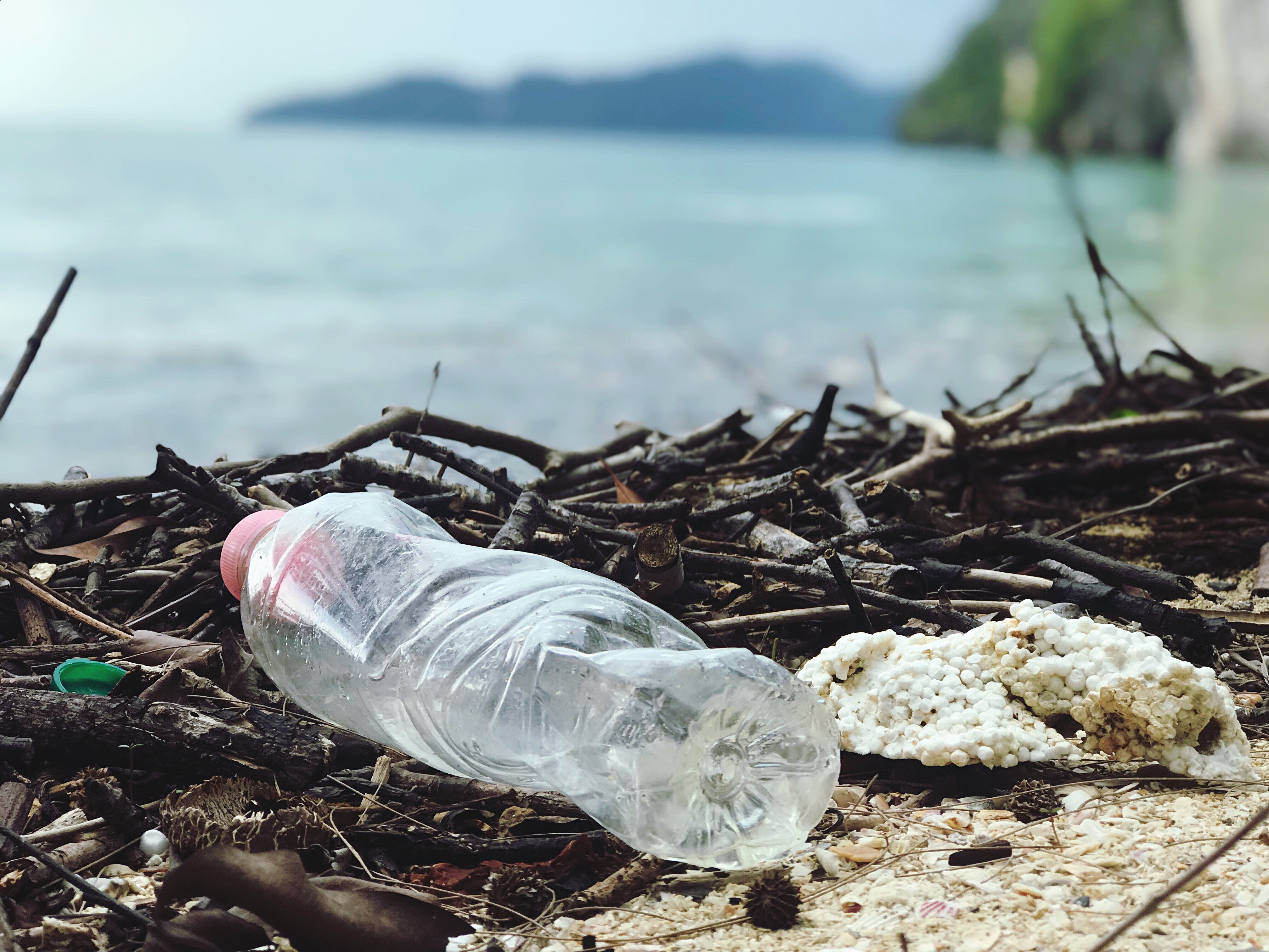 Basuraleza: ¿qué es y por qué está destruyendo el medio ambiente ...