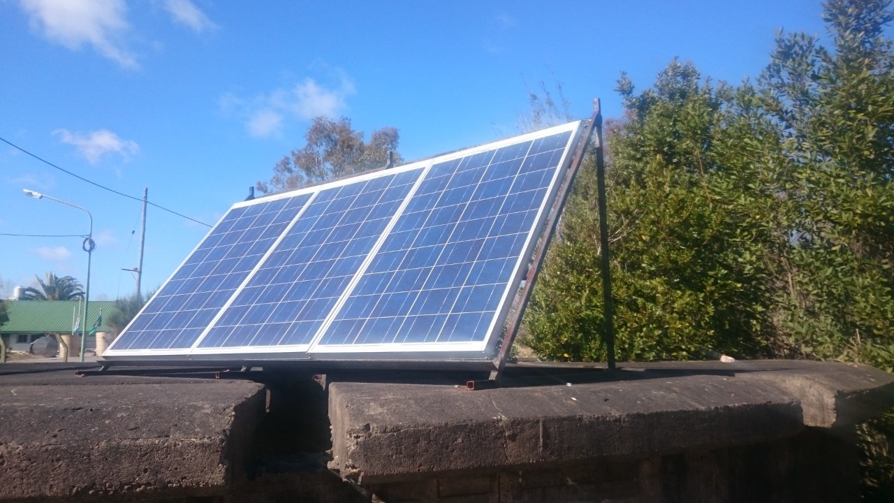 Cooperativas desarrollarán “árboles solares” para instalar en ...